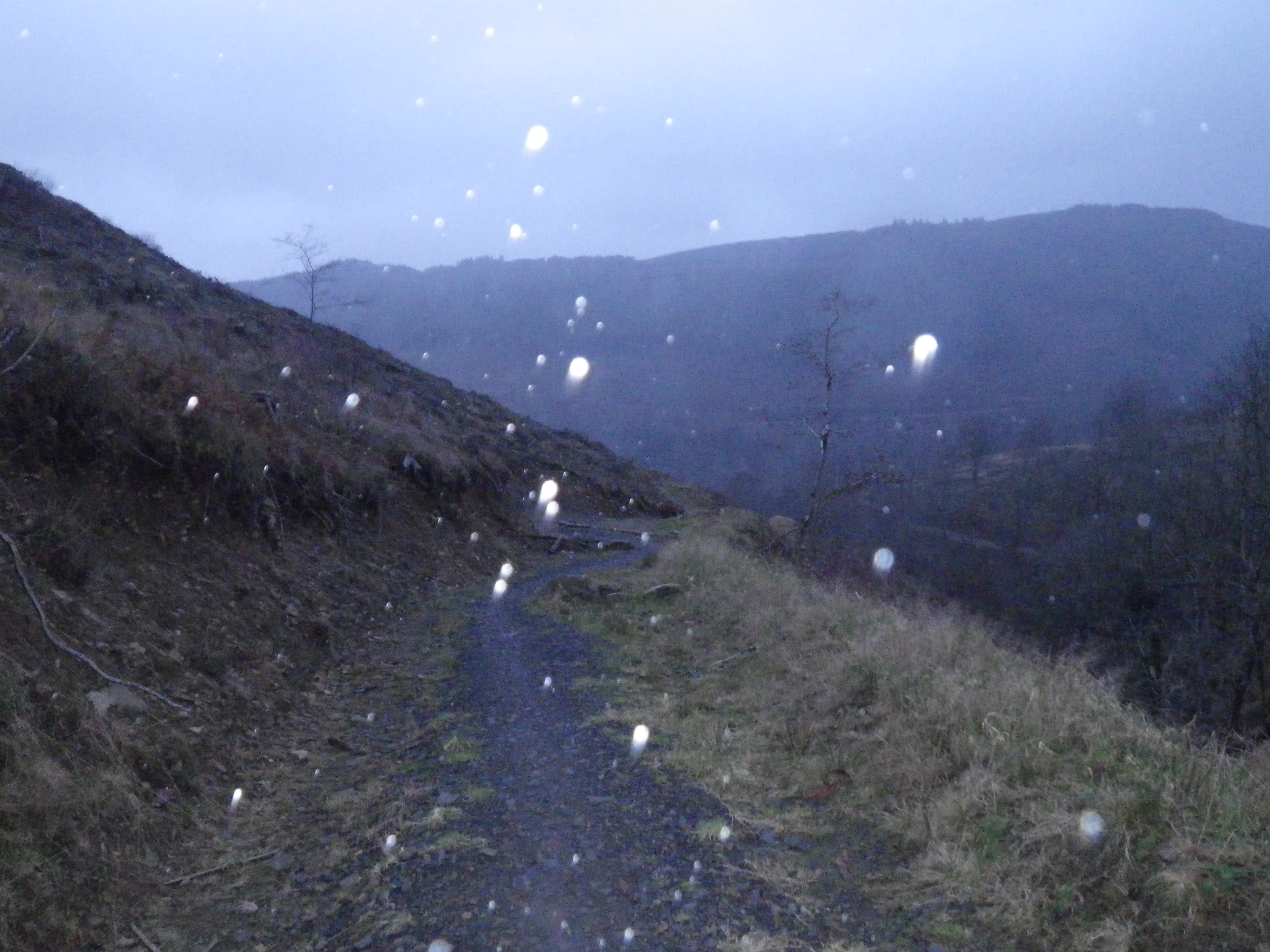 Blue Scar – rideAFAN